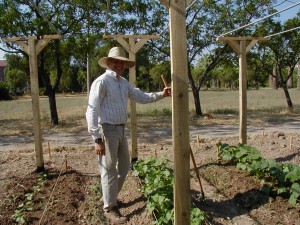 The Mittleider Gardening Method: Answers to All of Your Questions